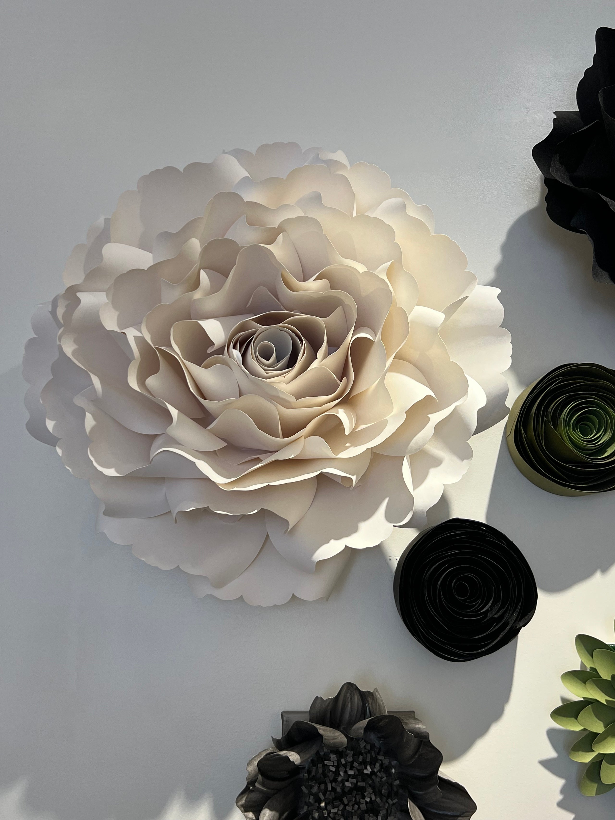 White Ruffled Flower | Lark San Carlos